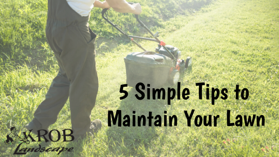 Krob Landscape Blog | 5 Simple Tips to Maintain Your Lawn