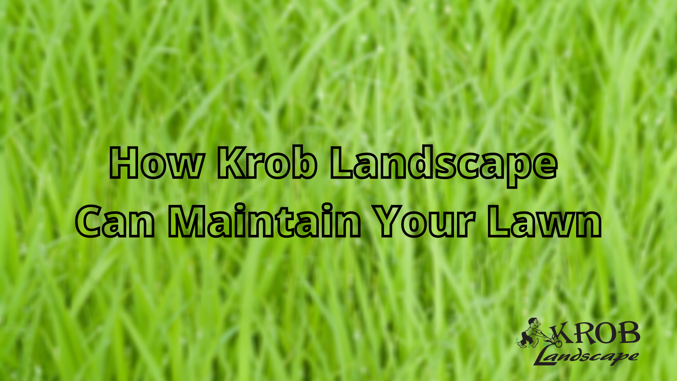Krob Landscape Blog | How Krob Landscape Can Maintain Your Lawn